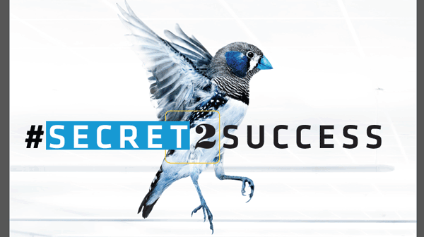 #Secret2Success