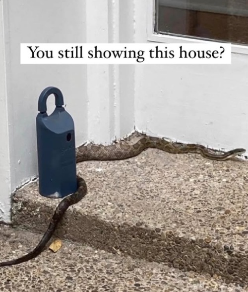 75 Real Estate Memes to Boost Your Marketing in 2026