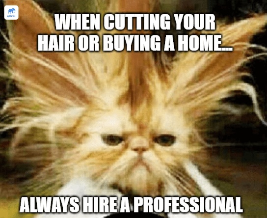 75 laugh-out-loud real estate memes to boost your marketing in 2025 ...